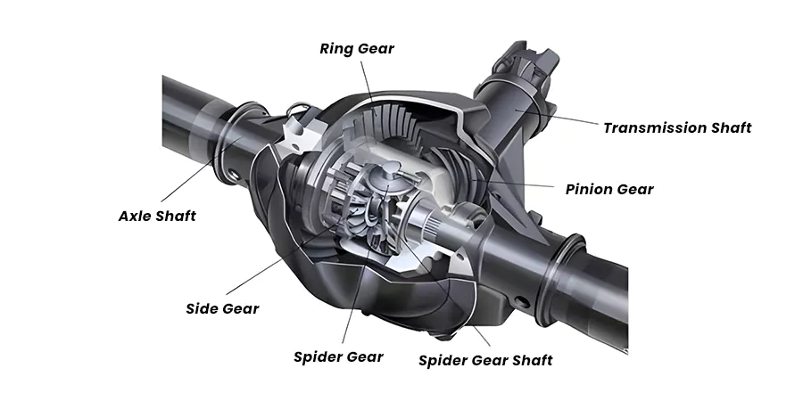 The Comprehensive Explanation Of Differential S Structure And Working